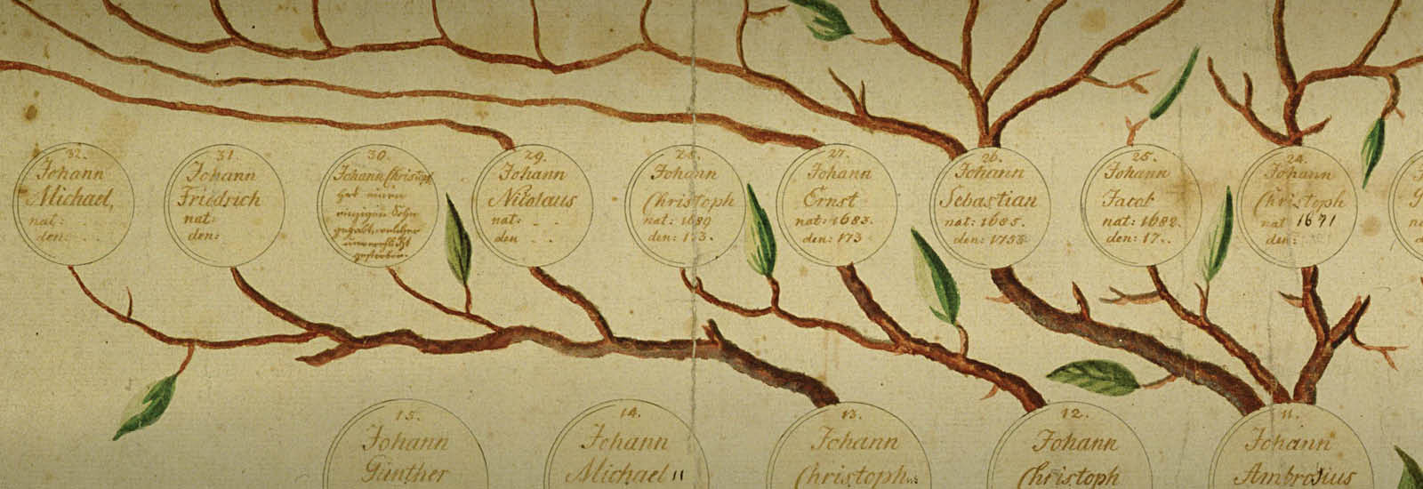 Johann Sebastian Bach Family Tree Johann Sebastian Bach Wikipedia